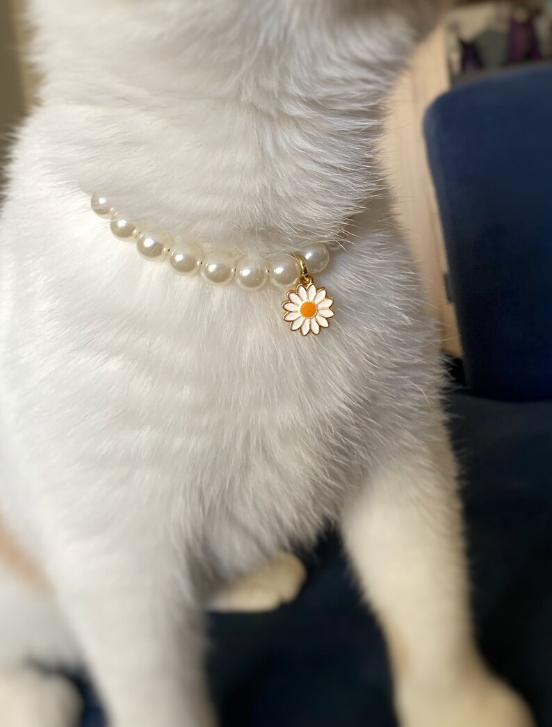 Personalized Cat Collar Necklace Daisy Flower Charm Bling Pearl Beaded ...