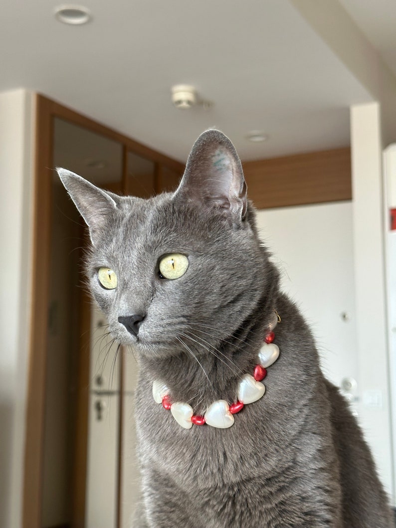 Heart Necklace for Cats/ Cat Collar/ Pearl Jewelry for Cats/ Jewelry ...