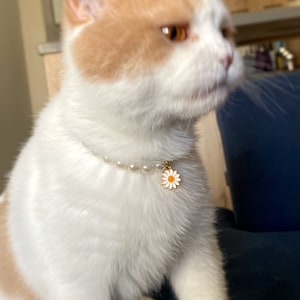 Personalized Cat Collar Necklace Daisy Flower Charm Bling Pearl Beaded ...