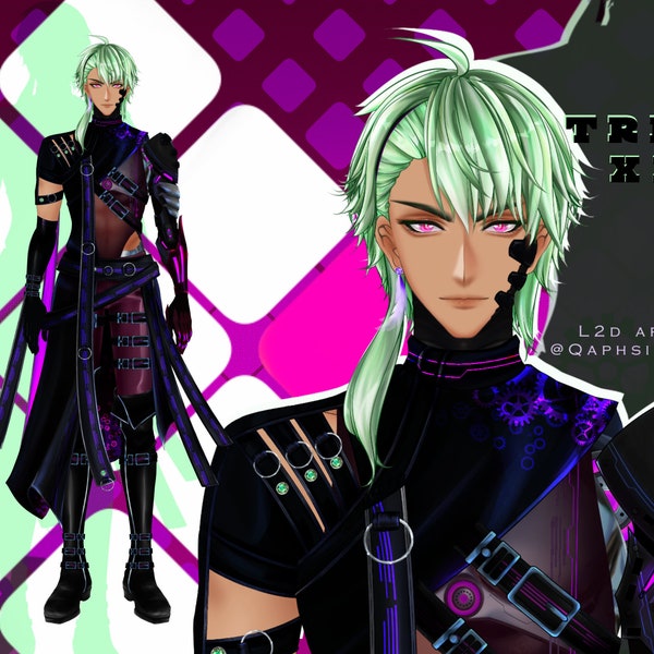 Premade Vtuber Model Live2d - Etsy Denmark