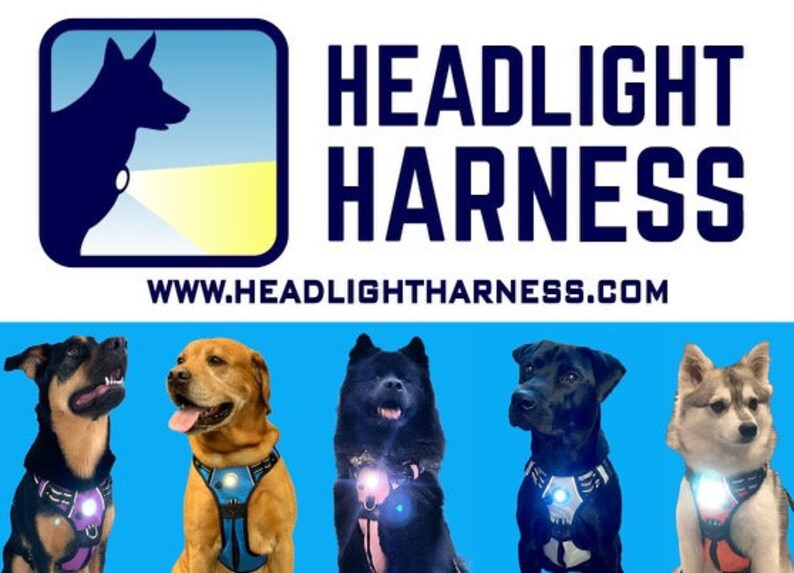 Reflective LED Dog Harness/ Comfortable, Stylish and Light Weight ...