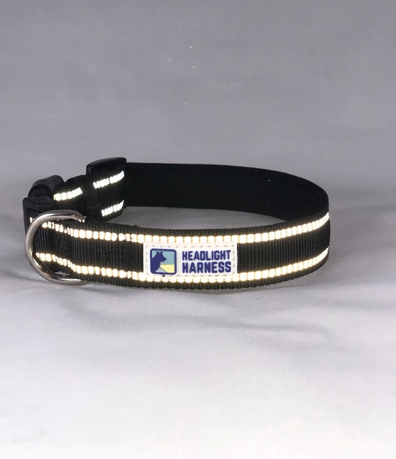 Reflective Collars by Headlight Harness - Etsy
