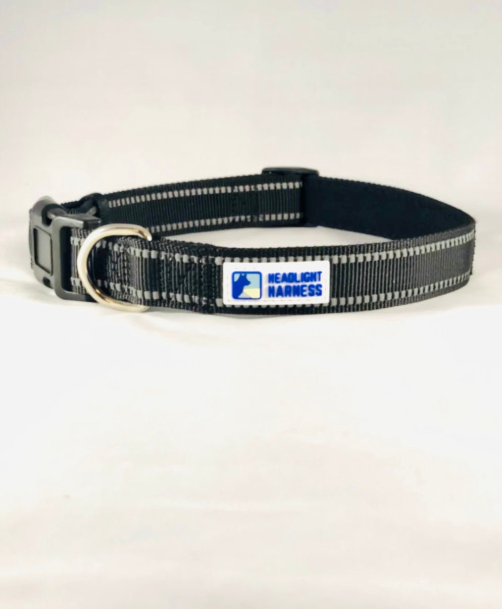 Reflective Collars by Headlight Harness - Etsy