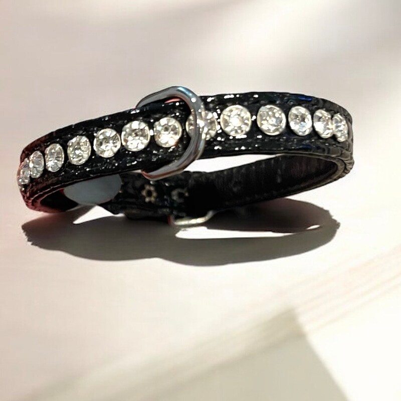 Bling Dog Collar - Etsy