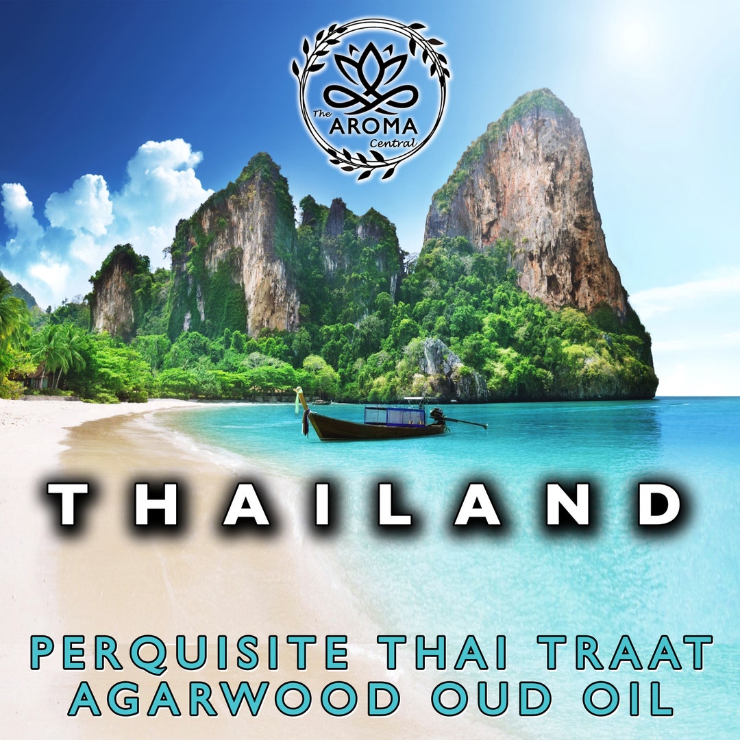 Pure Agarwood Oil From Thai Traat, Thailand Discover the Essence of ...