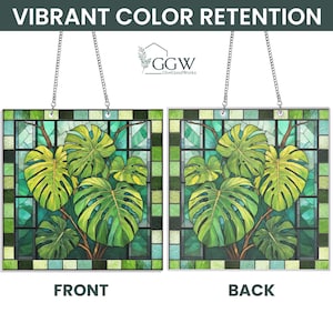 Acrylic Monstera Plant Suncatcher Window Hanging, Monstera Plant Lover ...