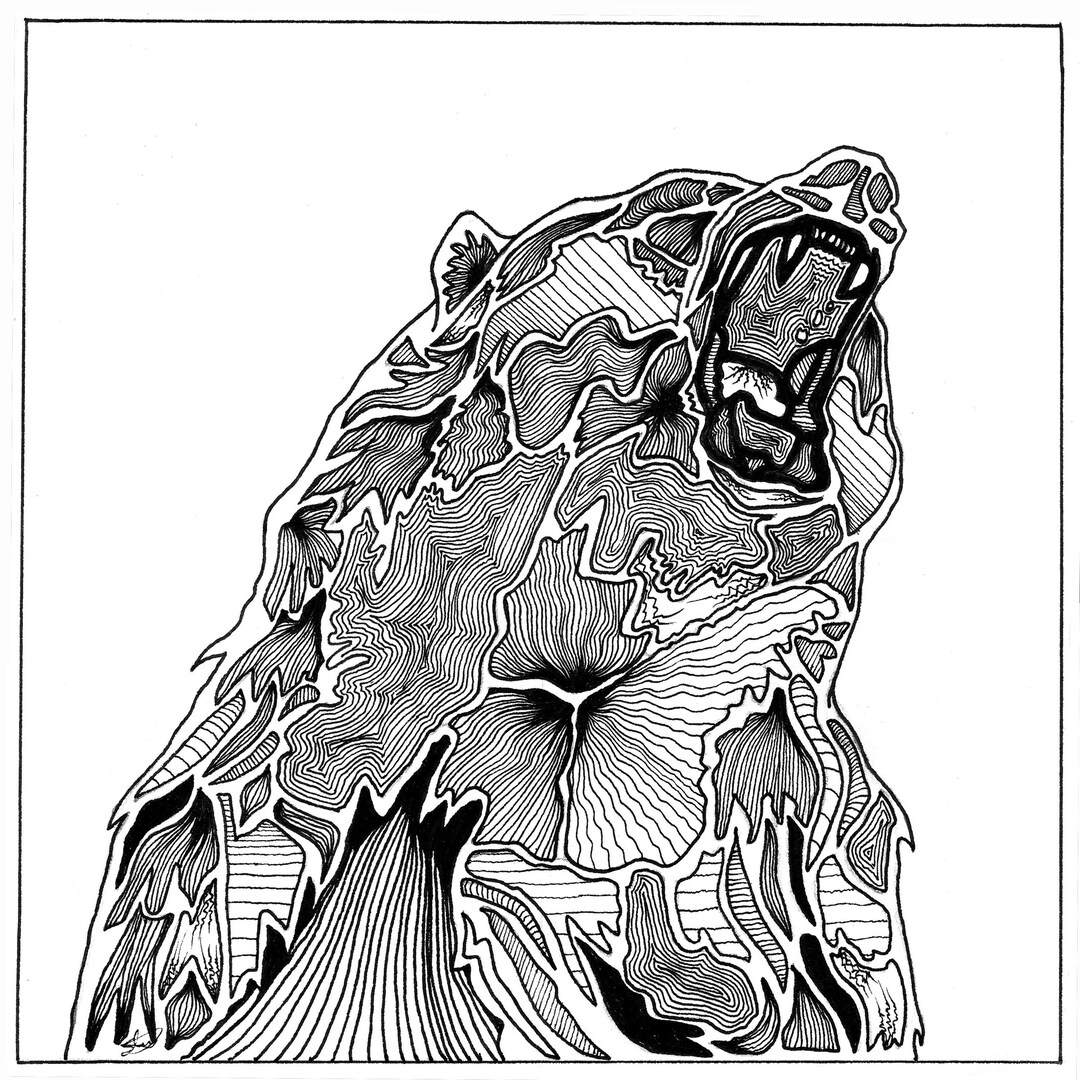 8x8 Grizzly Bear Paper Print - Etsy