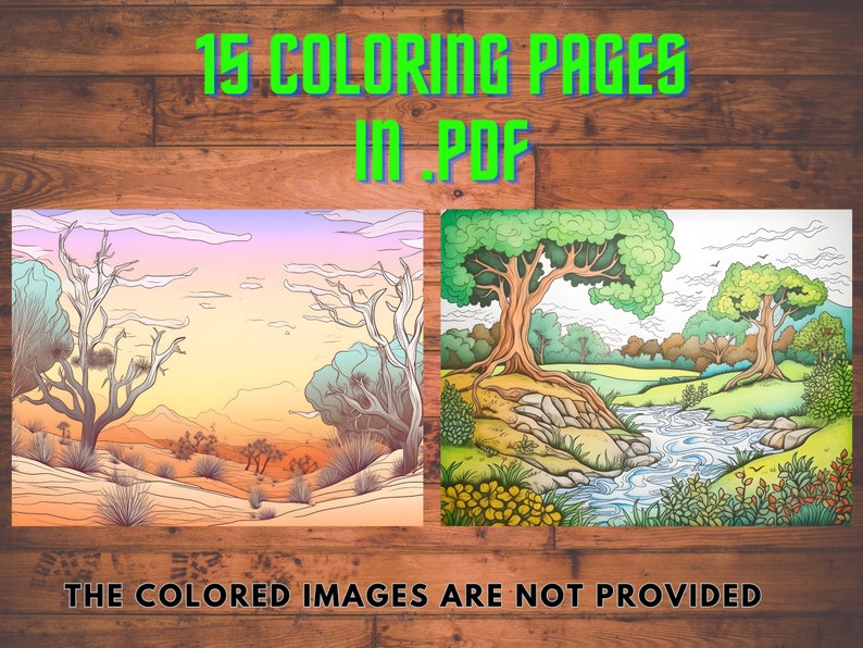 16 Nature Fantasy Coloring Page Book, Adults + Kids- Instant Download ...