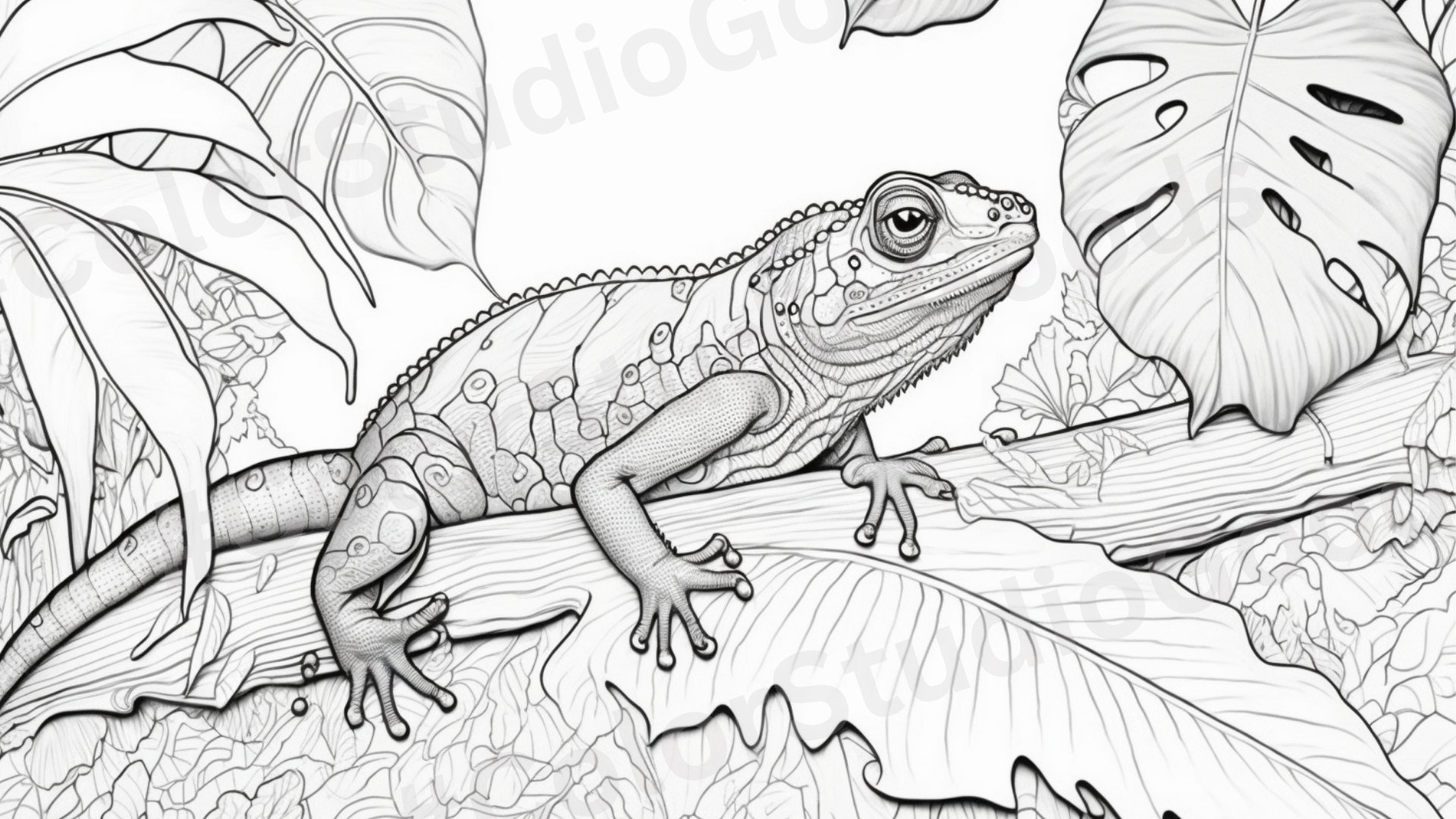 The Animal Kingdom: 15 Animal Coloring Pages for Adults - 15 Printable ...
