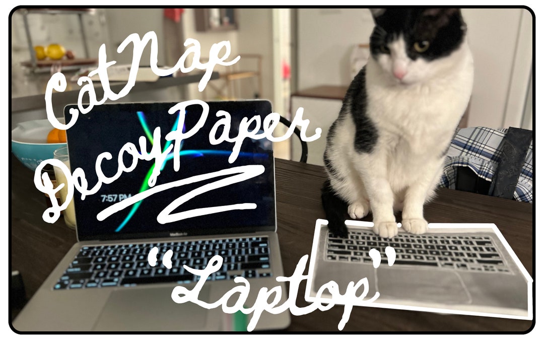 CATNAP DECOY PAPER "laptop" Download and Print; is Inspired by All the ...