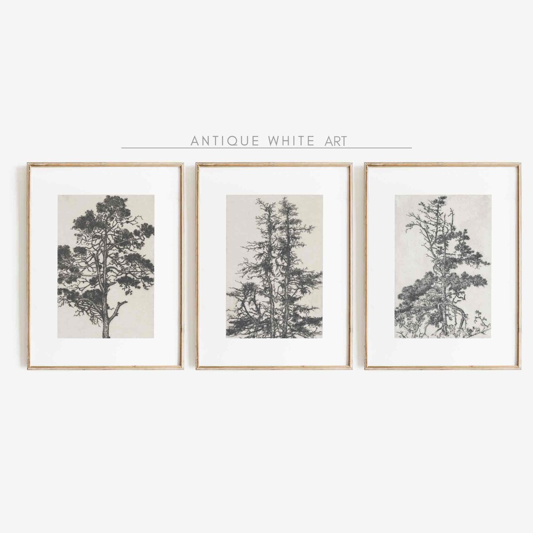 Printable Rustic Vintage Sketches Prints, Gallery Set of Three, Antique ...