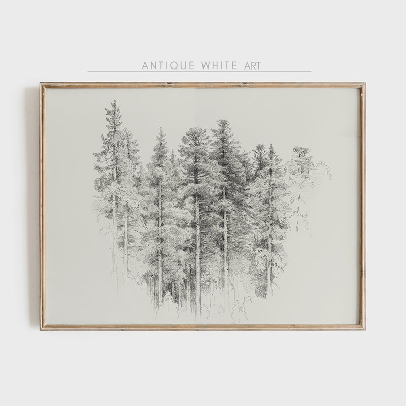 White Pine Tree Print - Etsy