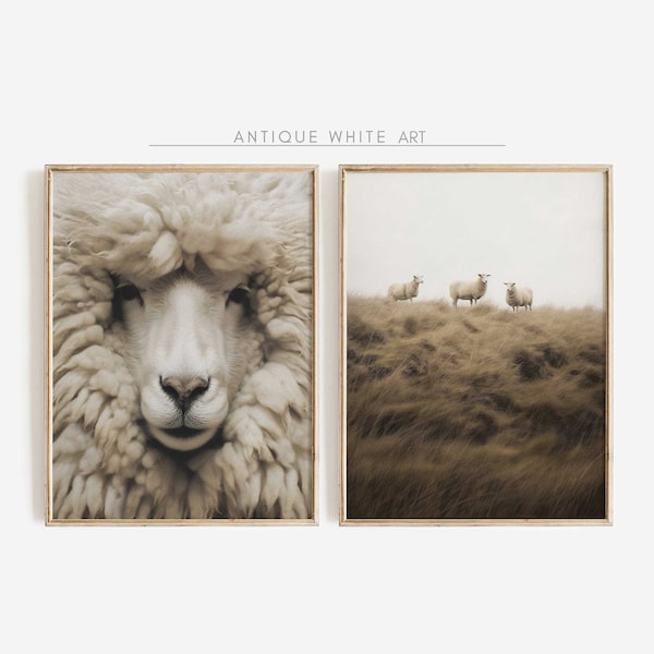 Sheep Wall Art - Etsy