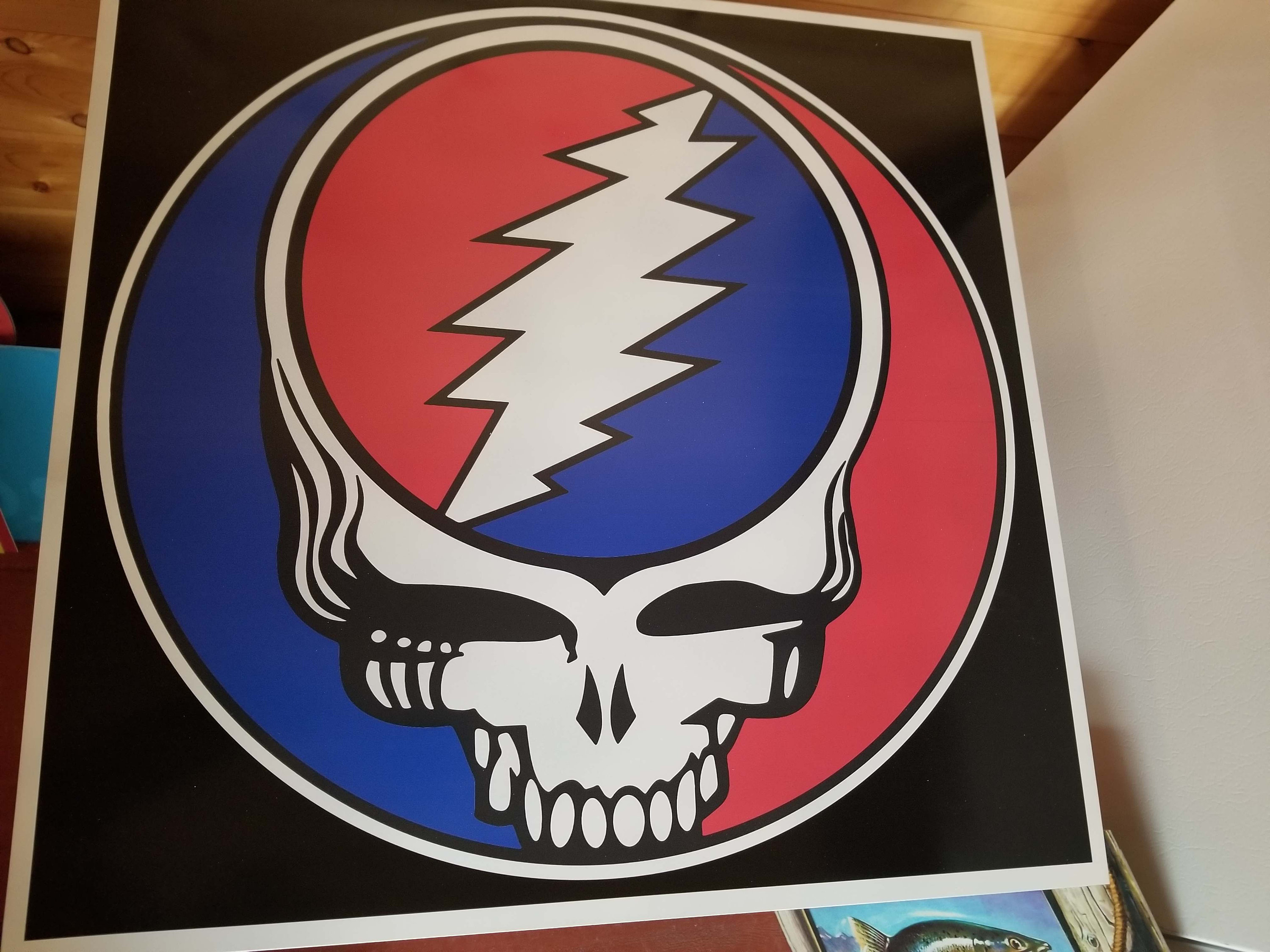 Grateful Dead Skull Sign Large Metal Display 24in - Etsy