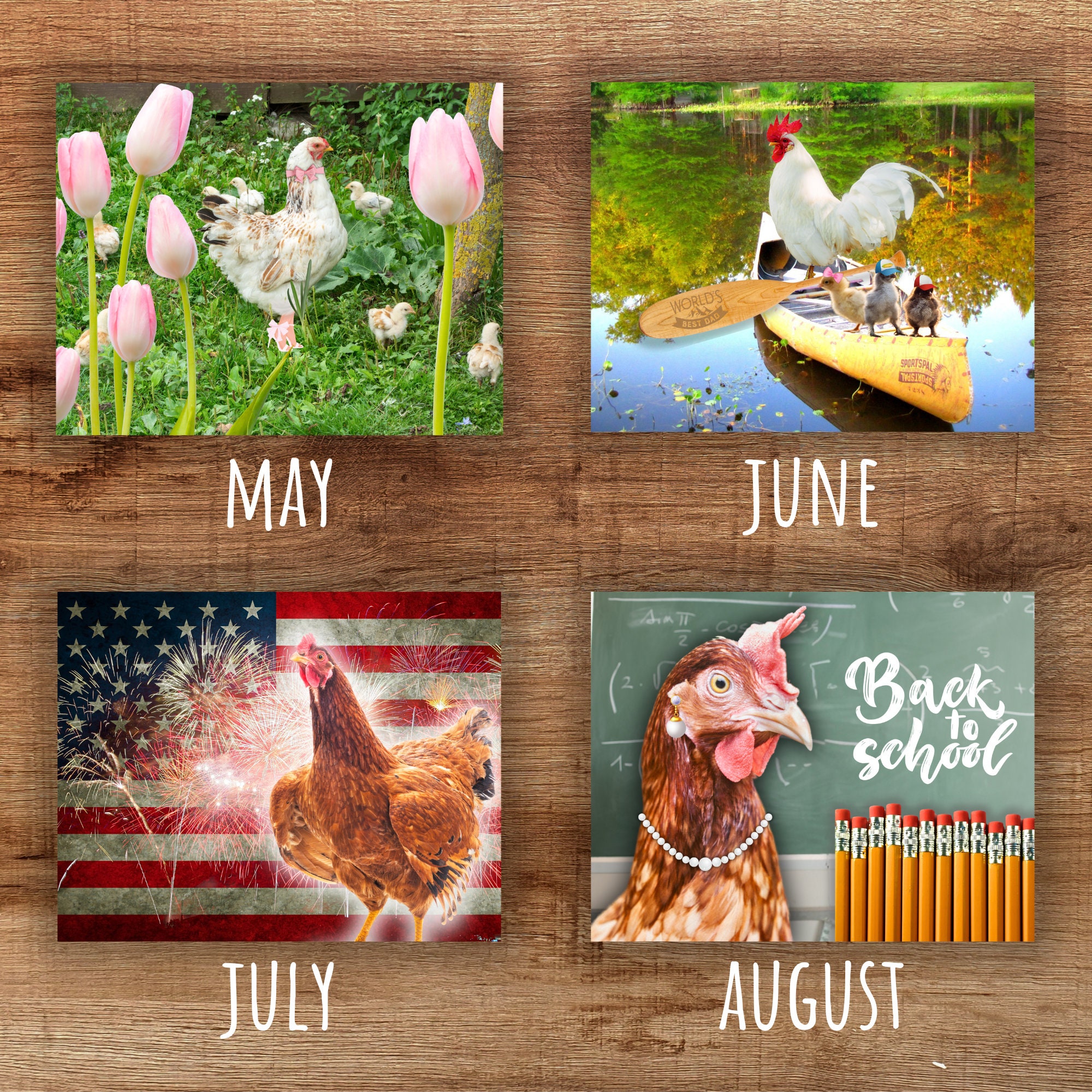 Chicken Calendar - Backyard Farming - Urban Farming - Farming Present ...