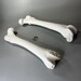 Bear Femur, Left or Right, 3D Printed Anatomical Model - Etsy