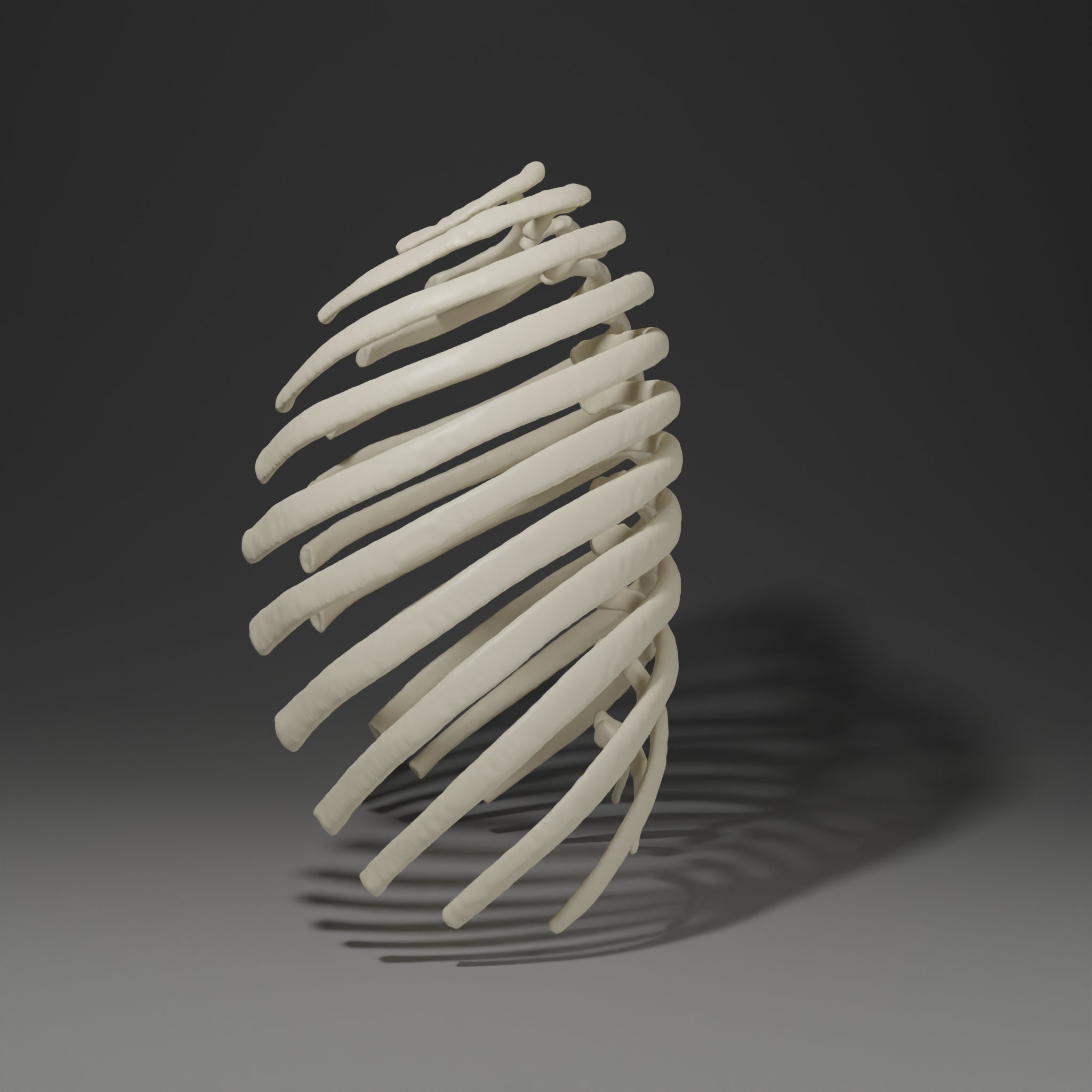 3D Printable Ribs Actual Size - Etsy