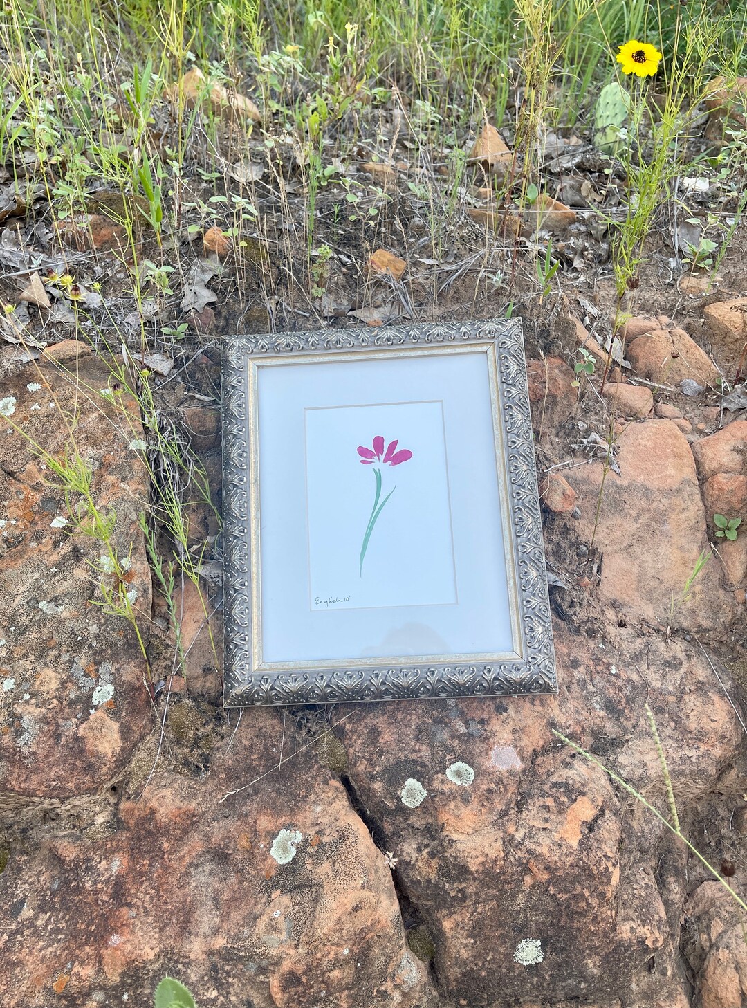 Vintage Framed Flower Art, Red Flower, Antique Frame Print, Antique ...