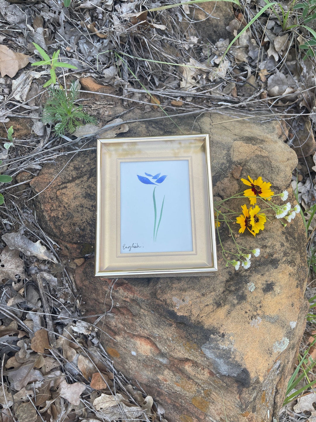 Vintage Framed Flower Art, Blue Flower, Antique Frame Print, Antique ...