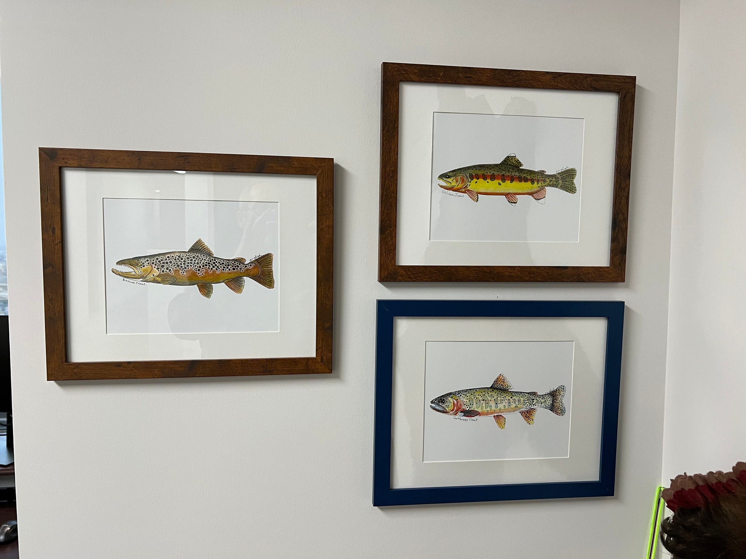 8x10 SET OF 5 TROUT Prints, Freshwater Fish, Fish Painting, Fly Fishing ...