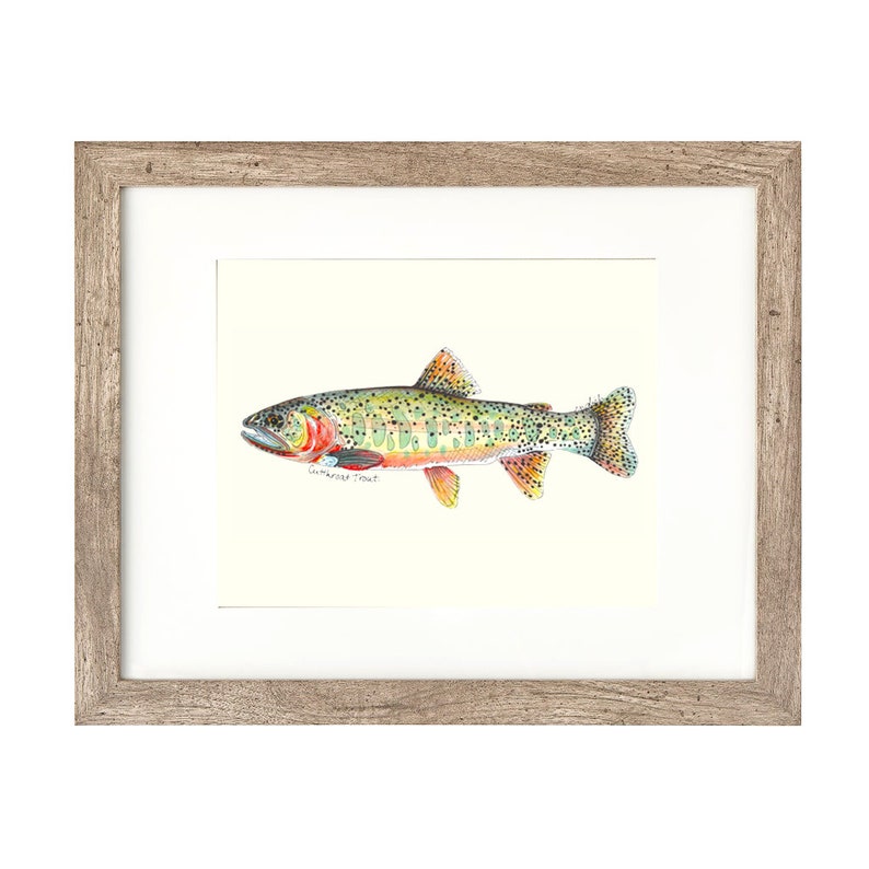 8x10 SET OF 5 TROUT Prints, Freshwater Fish, Fish Painting, Fly Fishing ...