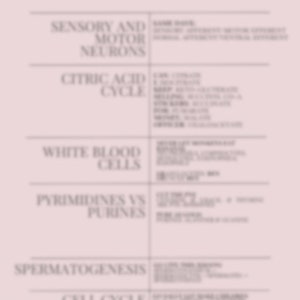 A Premed's Guide to MCAT Mnemonics- Bio/biochem - Etsy