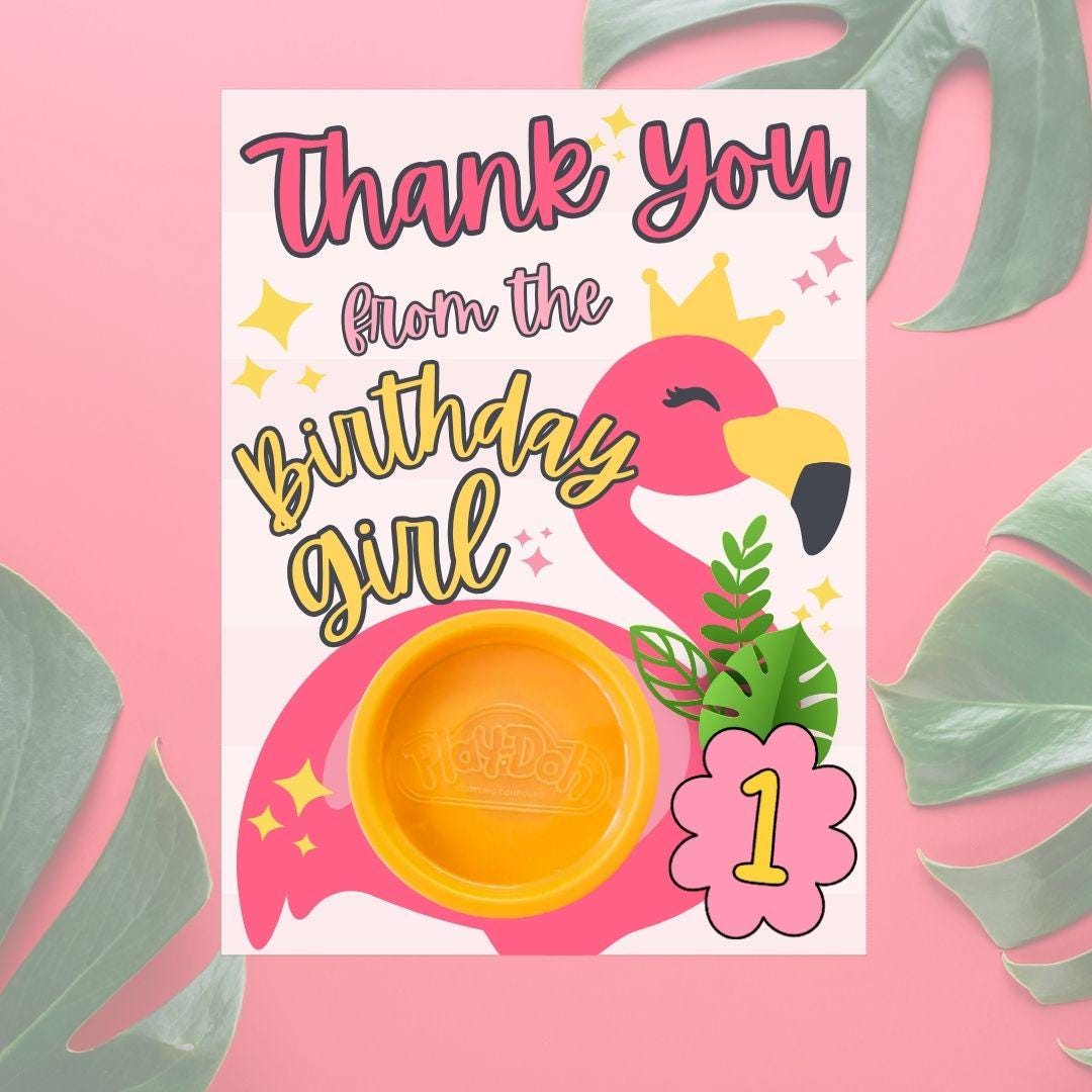 Flamingo Play-doh Party Favors - Etsy