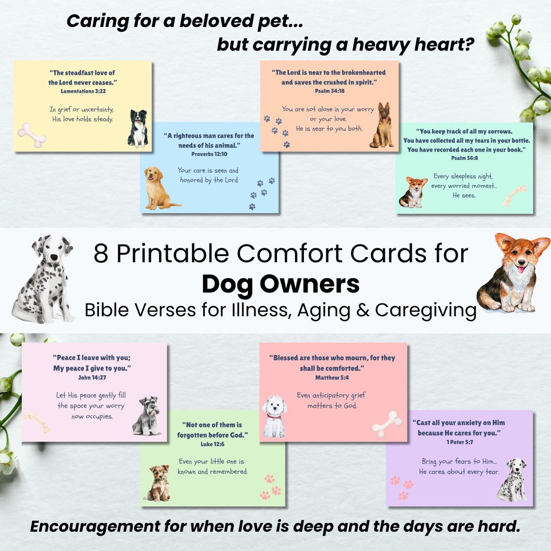 Printable Scripture Cards for Pet Loss or Illness | Bible Verse ...