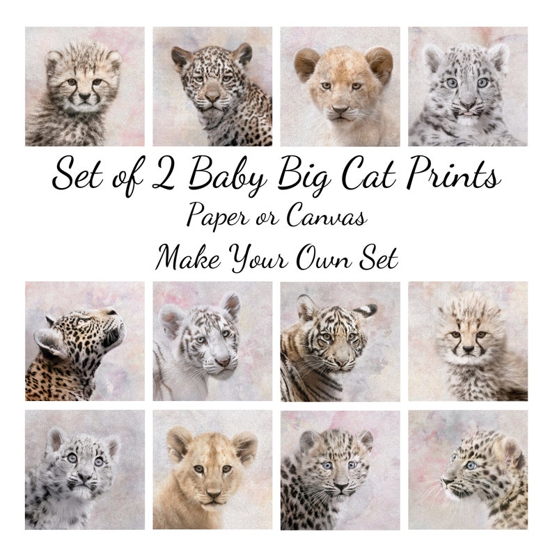 Big Cat - Etsy