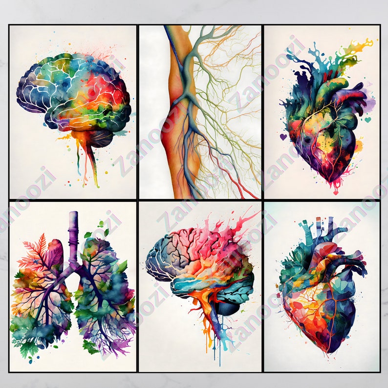 Anatomical Medical Art Bundle, Watercolor Human Anatomy Art, Gift for ...