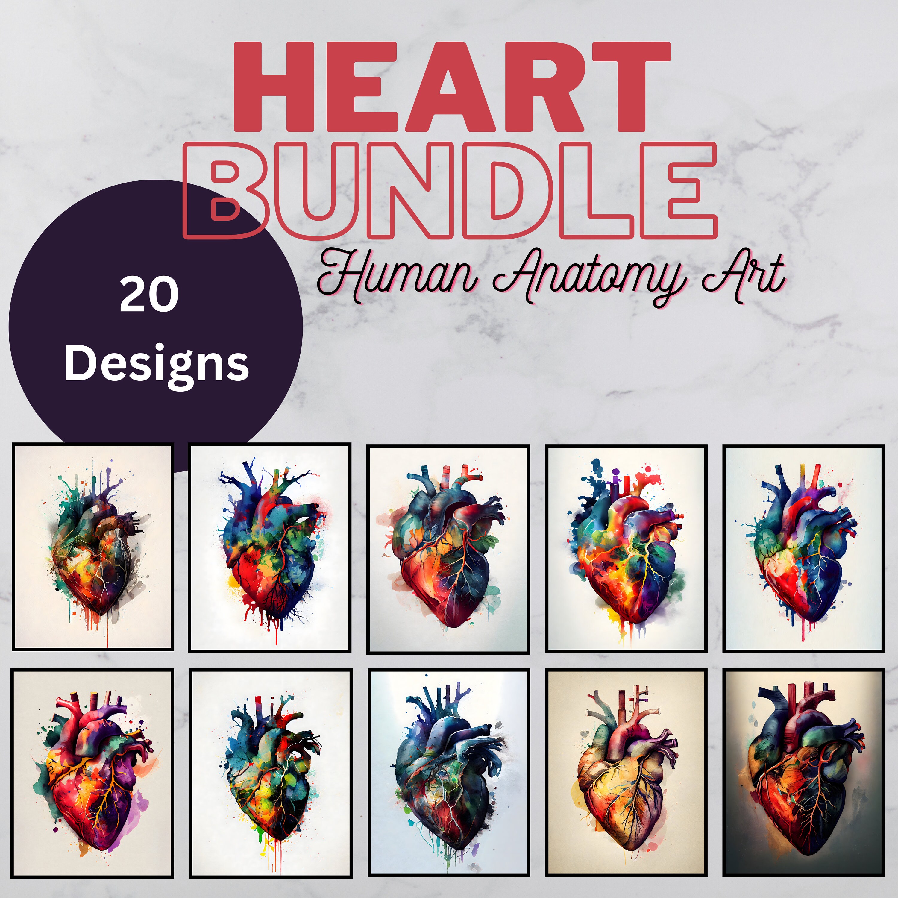 Anatomical Heart Digital Art Bundle Watercolor Human Anatomy - Etsy