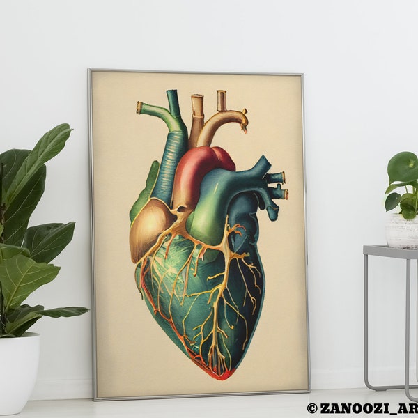 Anatomical Heart Art - Etsy