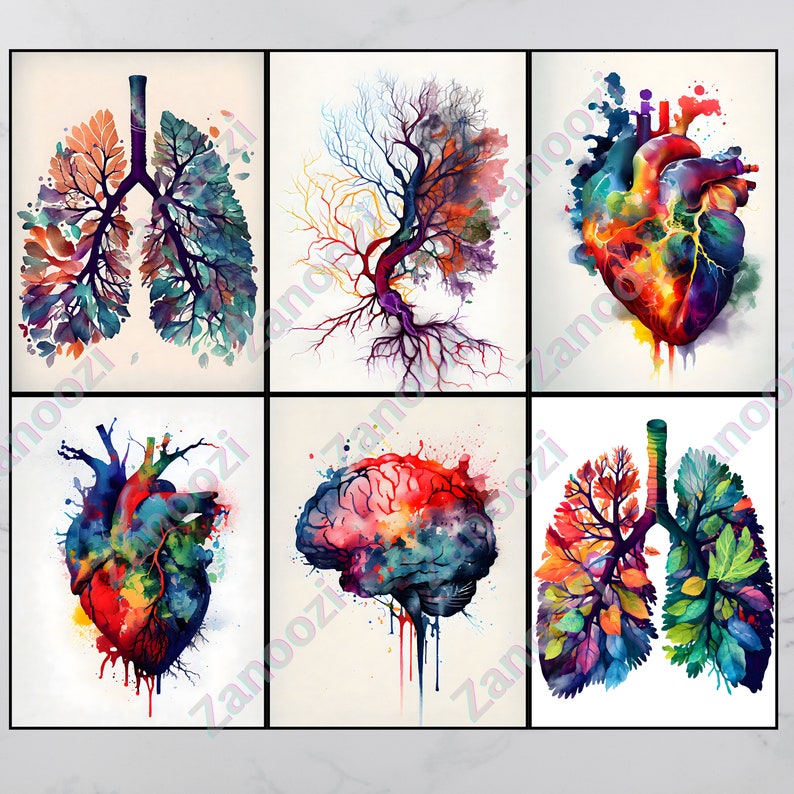 Anatomical Medical Art Bundle, Watercolor Human Anatomy Art, Gift for ...