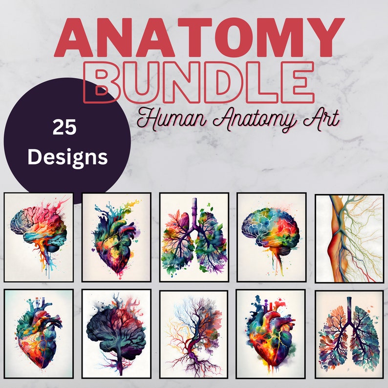 Anatomical Medical Art Bundle, Watercolor Human Anatomy Art, Gift for ...