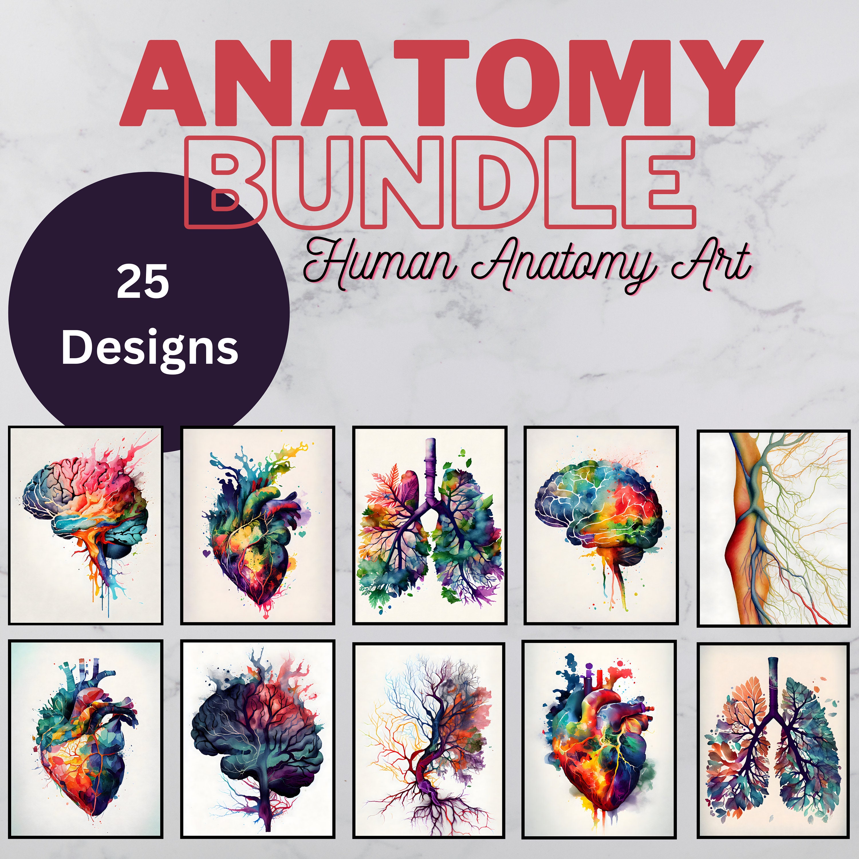 Anatomical Medical Art Bundle, Watercolor Human Anatomy Art, Gift for ...