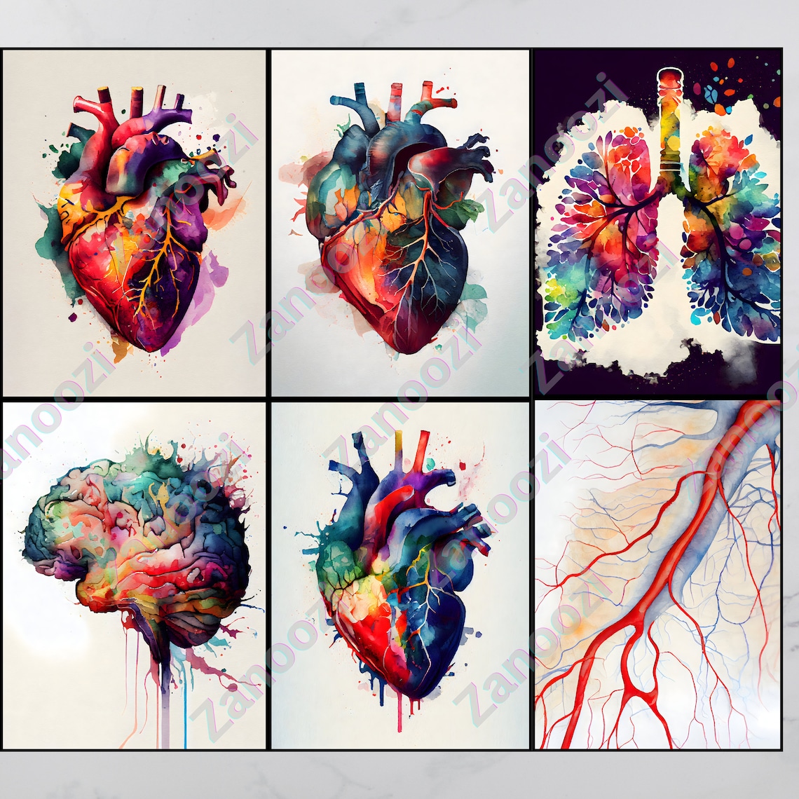 Anatomical Medical Art Bundle, Watercolor Human Anatomy Art, Gift for ...