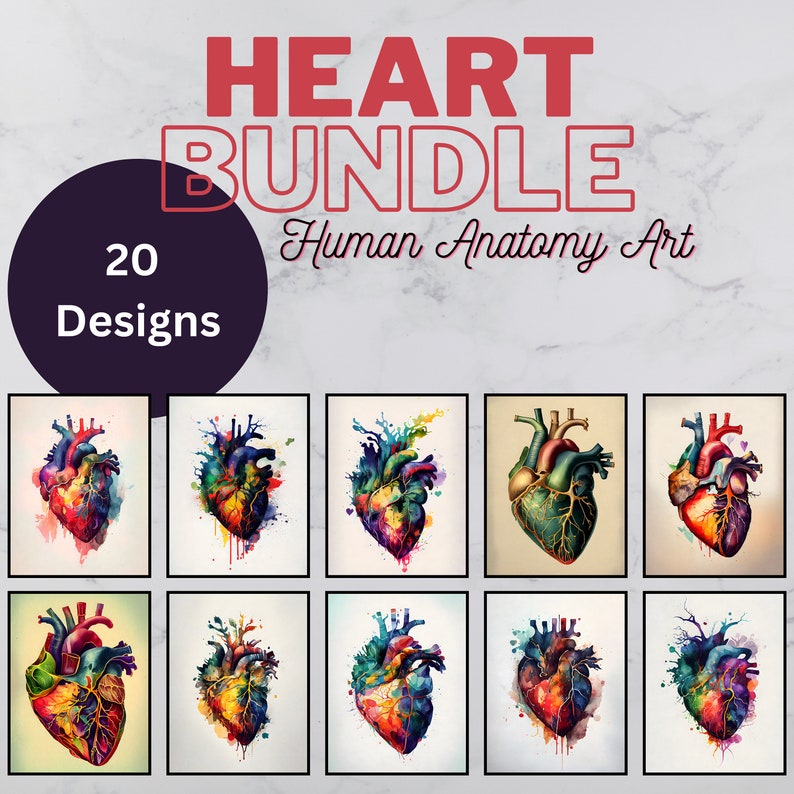 Anatomical Heart Digital Art Bundle Watercolor Human Anatomy - Etsy