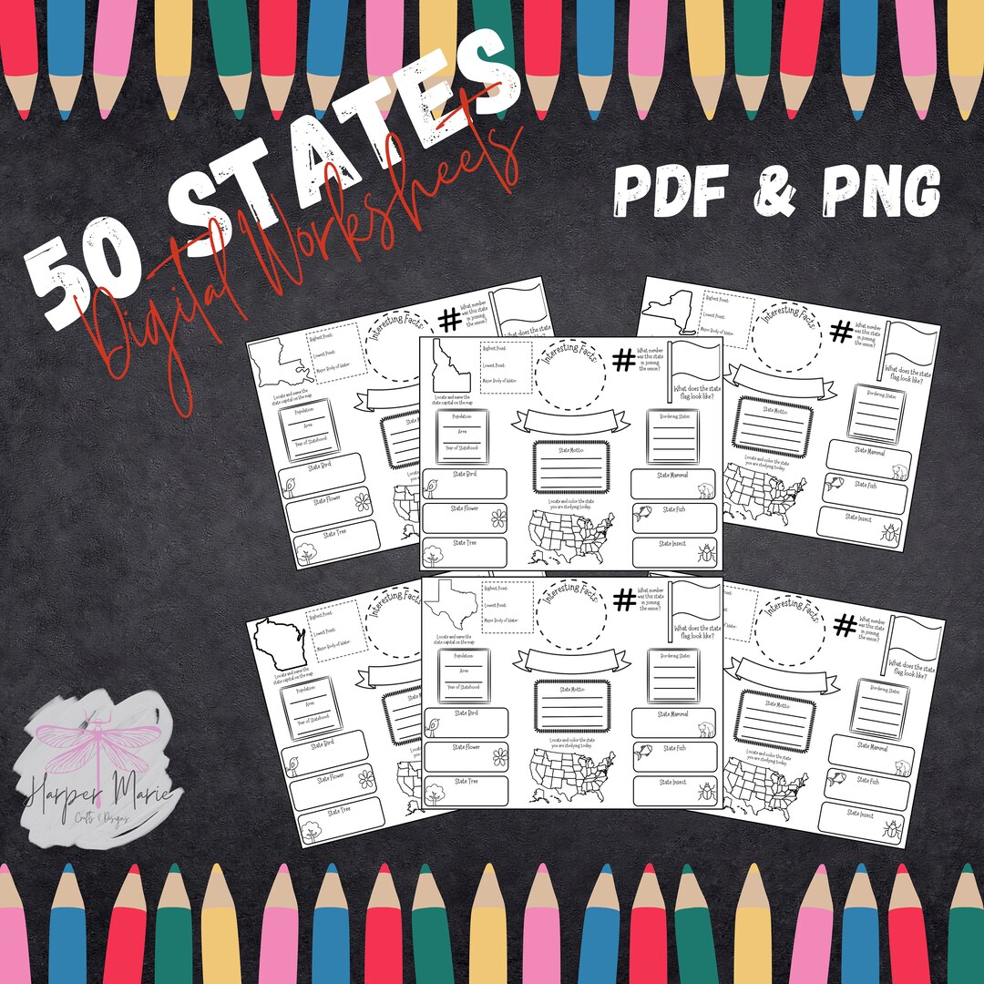 50 States Activity Worksheet State Studies Geography Worksheet State ...