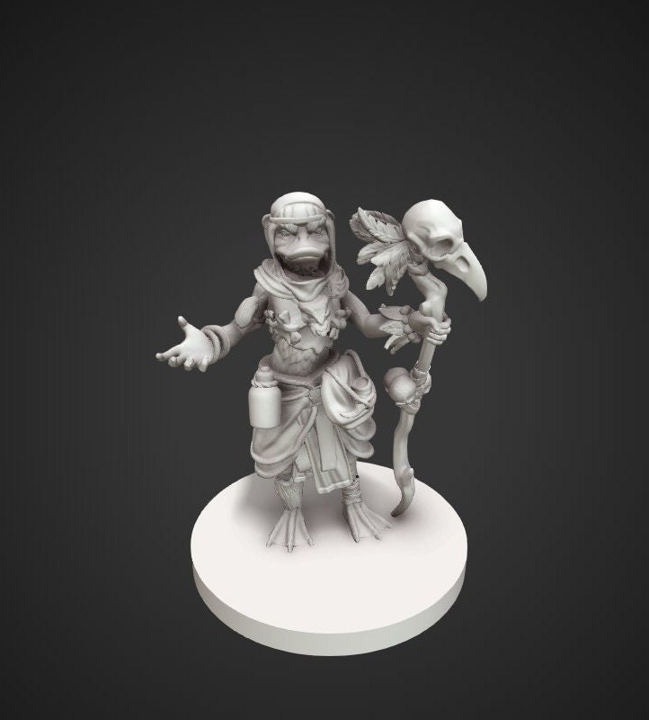 Duck Shaman- Durulz - Etsy