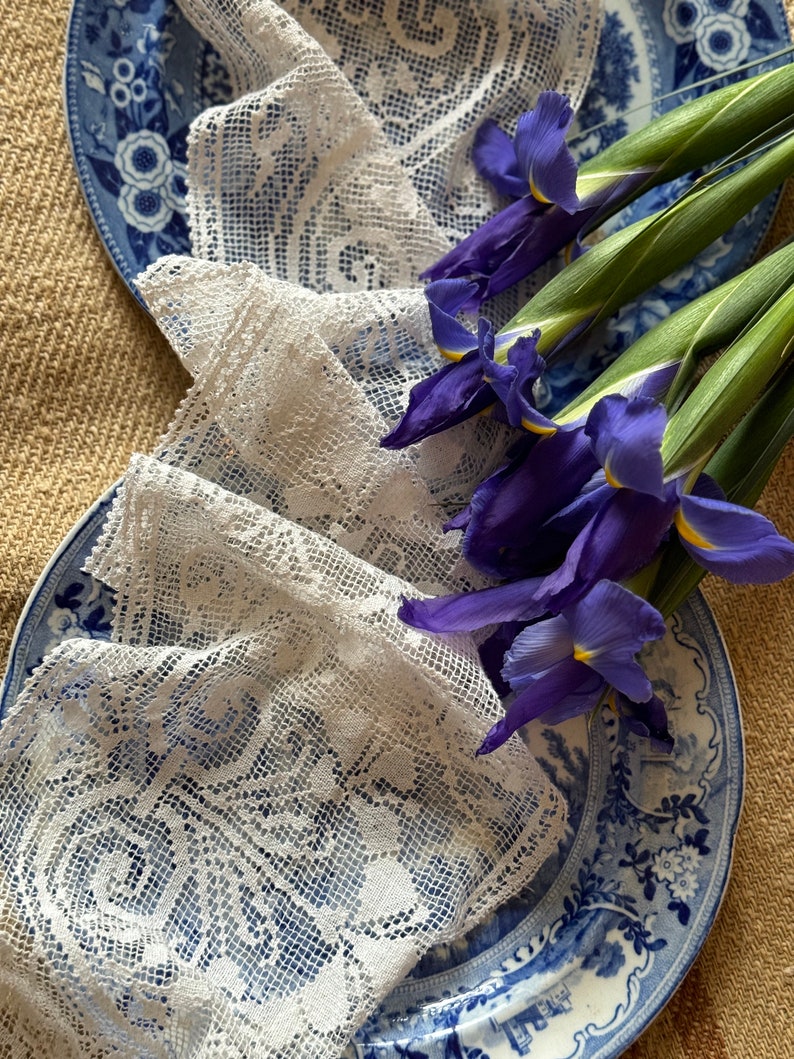 Antique Handmade Italian Lace Border, Art Nouveau, Early 1900s ...