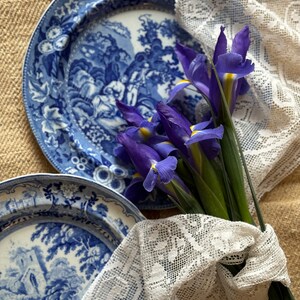 Antique Handmade Italian Lace Border, Art Nouveau, Early 1900s ...