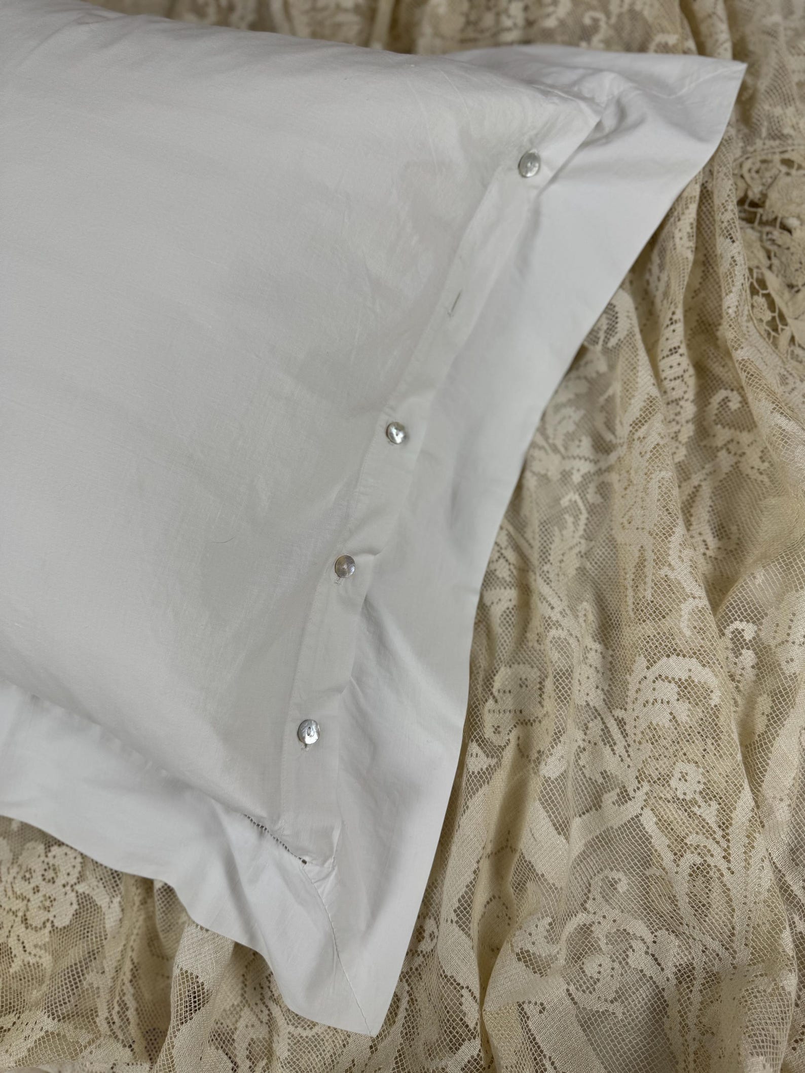 Amazing Early 1900s Italian Pillowcase, Handmade Embroidery, AG ...