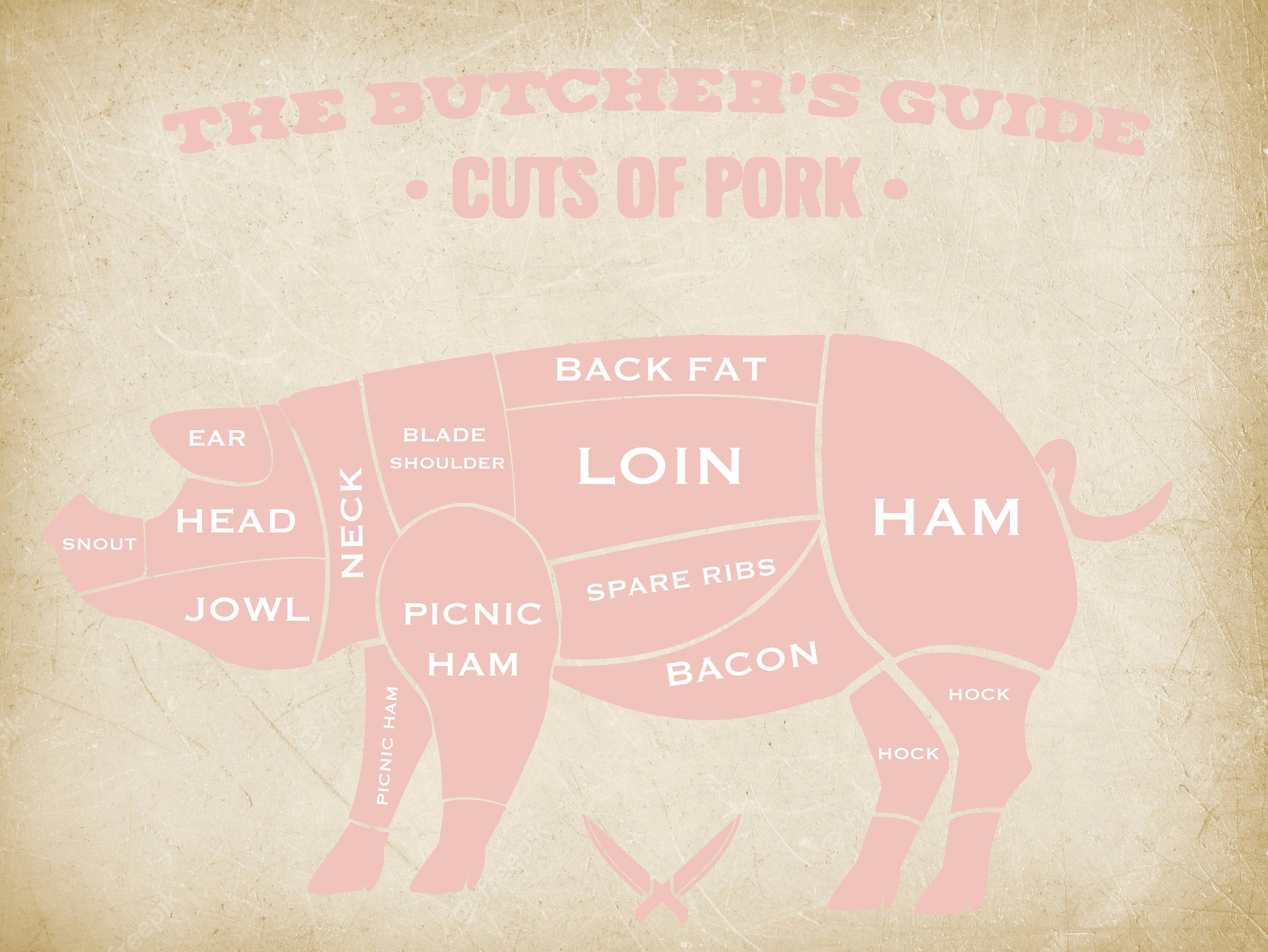 Pork Butcher Chart Instant Download Kitchen Meat Cuts Meat Diagram Restaurant Decor Shop