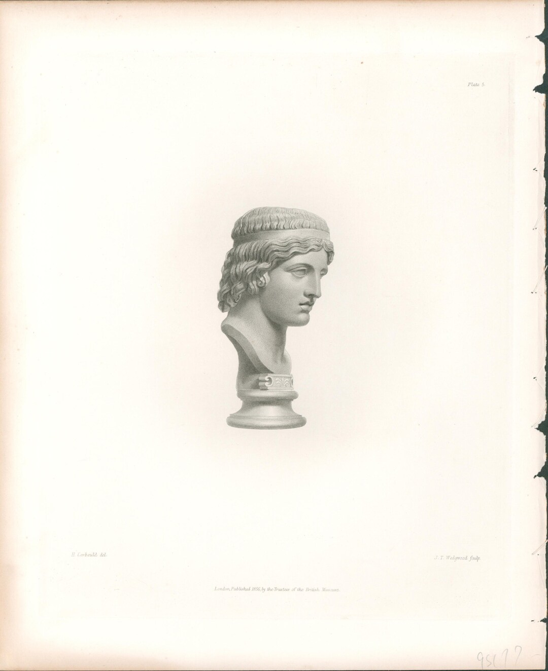 Bust of Bacchus 1856 - Etsy