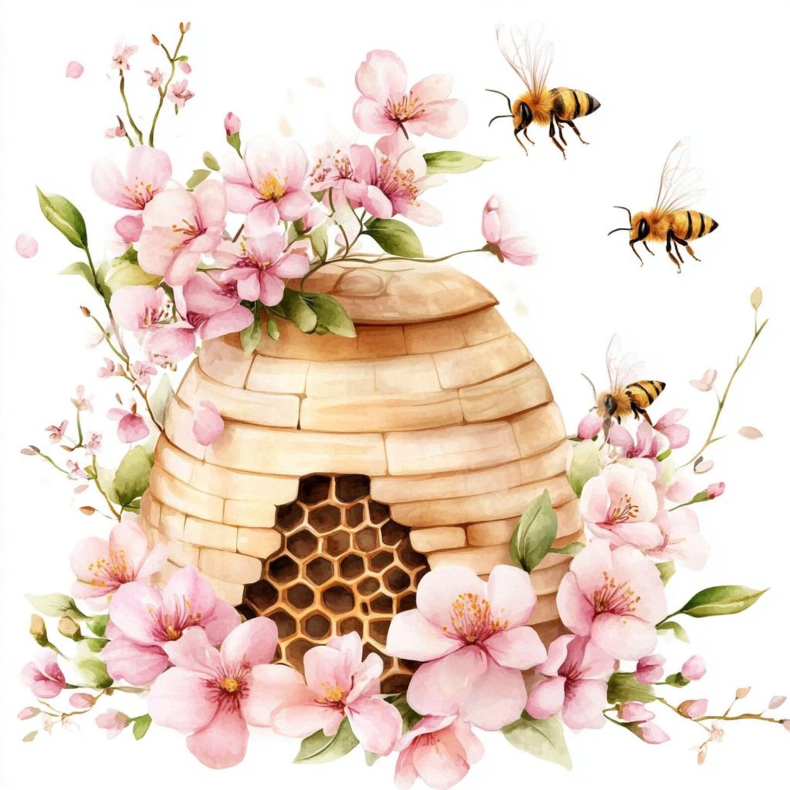 25 Beehive Digital Clipart | High-resolution | Natural Designs for Card ...