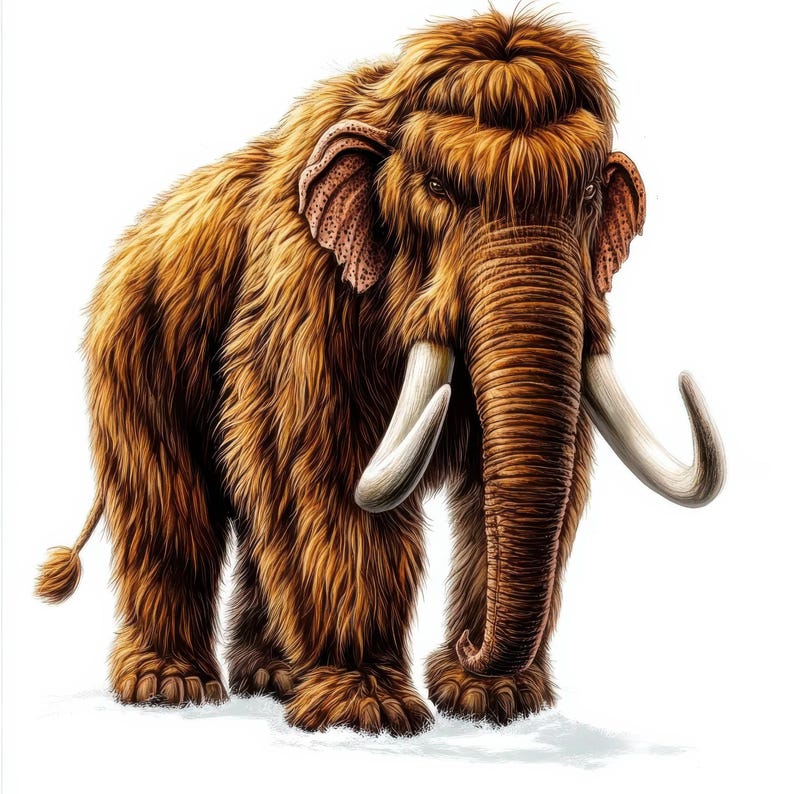 17 Woolly Mammoth Clipart | Majestic Ice Age Animal Illustrations for ...