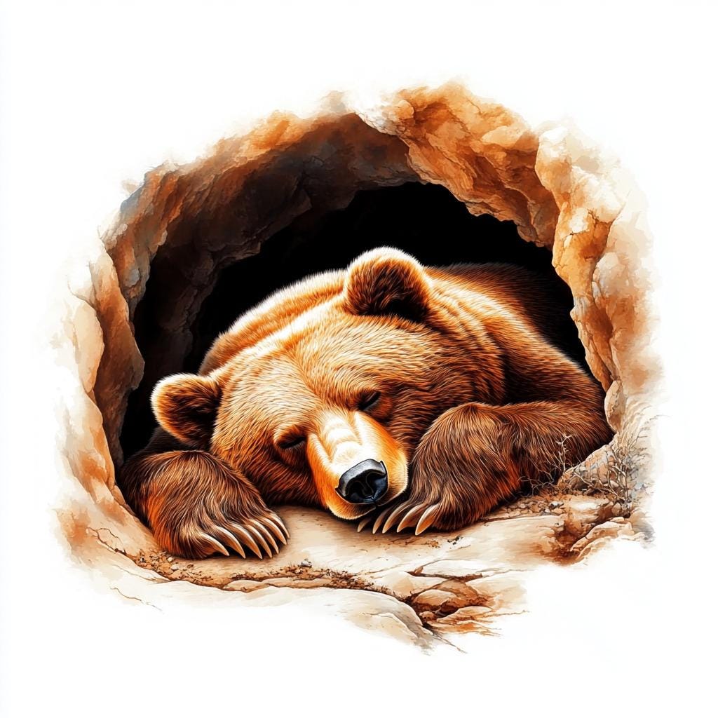 25 Hibernating Bear Digital Clipart | High-resolution | Cozy Nature ...