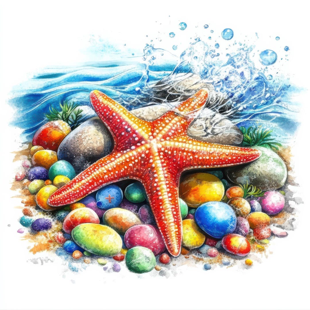 17 Colorful Starfish Clipart | Vibrant Ocean Starfish Illustrations for ...