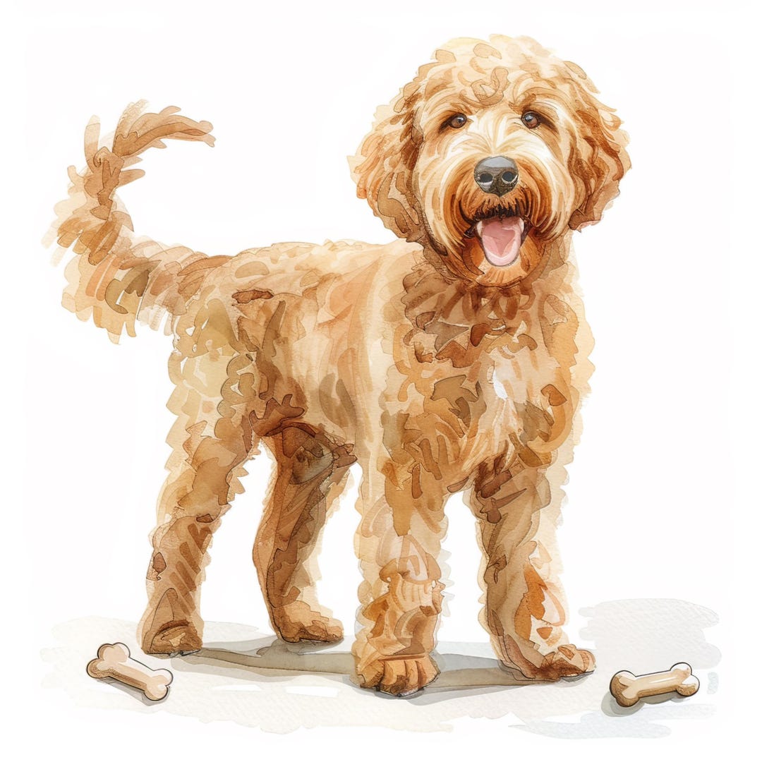 Goldendoodle Clipart 50 High Res Watercolor Png Junk Journaling ...