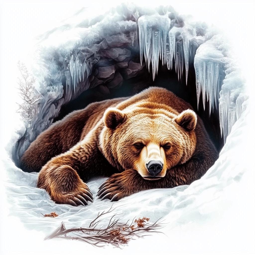 25 Hibernating Bear Digital Clipart | High-resolution | Cozy Nature ...